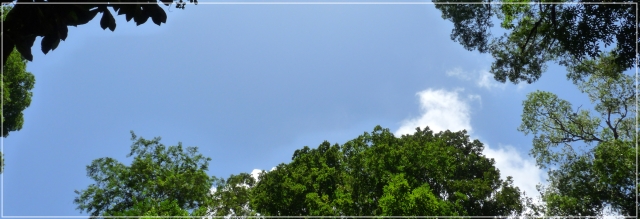 About – PAWI Online